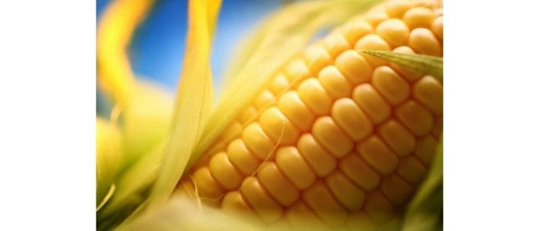 Diaphorèse : Comprendre et Traiter la Transpiration Excessive